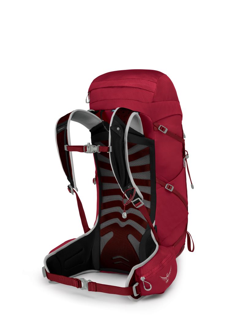 Osprey Talon 33 Backpack online kopen | Soellaart Sale | SOELLAART.NL